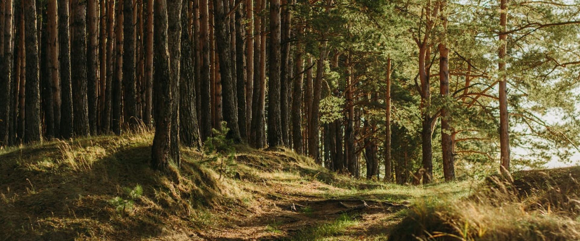 Home | Crescent Financial Group